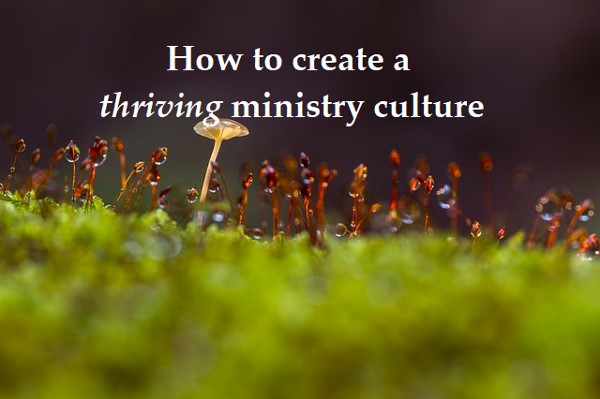 How to Create a Thriving Ministry Culture – When You Work for the Church